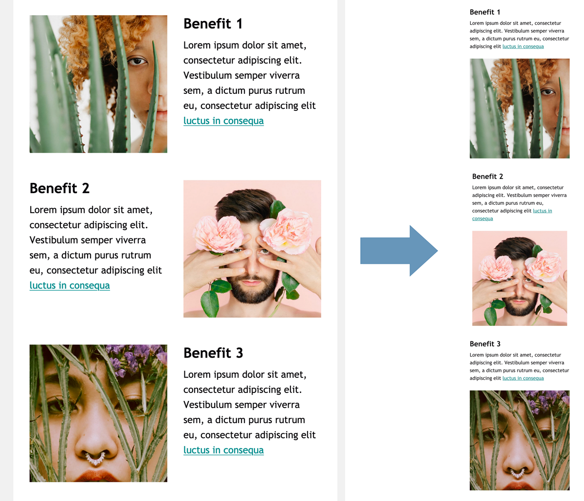 Subscriber Email Examples to Boost Email Experience - Litmus