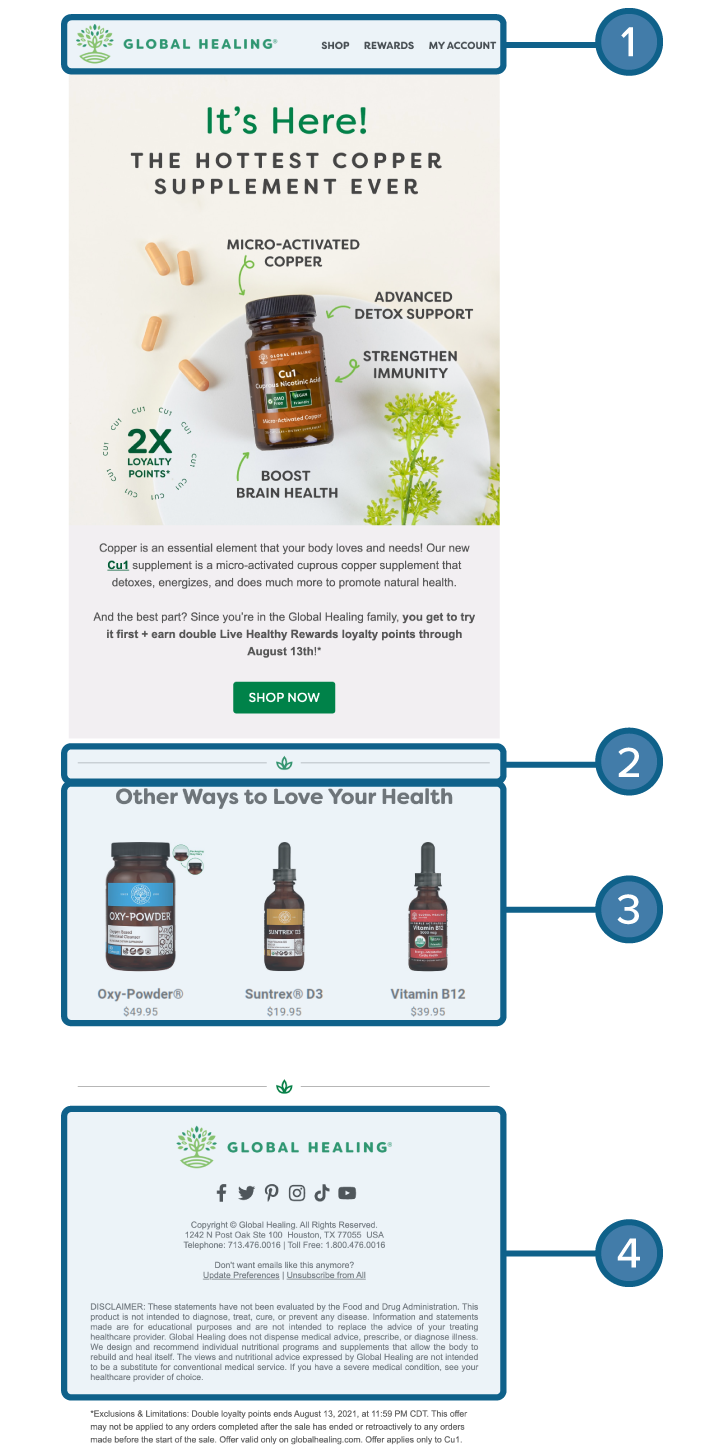 Snippets Examples to Steal (and Build Emails in Minutes) - Litmus