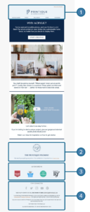 Snippets Examples to Steal (and Build Emails in Minutes) - Litmus