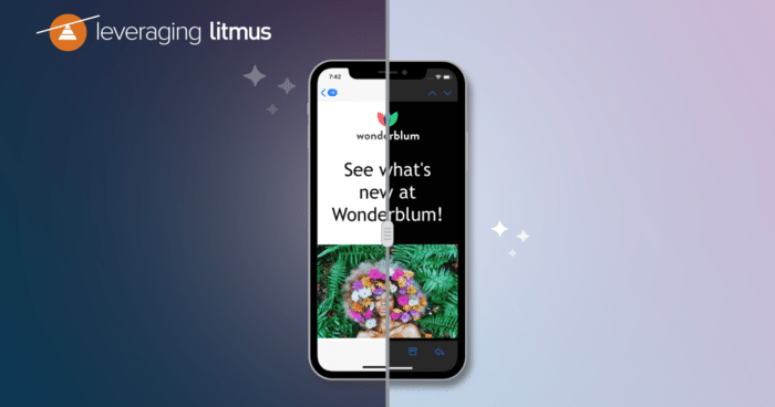 Leveraging Litmus | Dark Mode and Accessibility in Litmus - Litmus